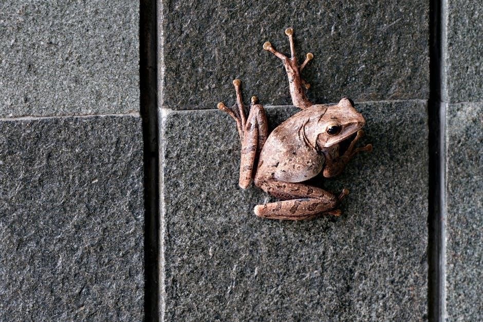 Marcy's Journal: Dive into the World of Amphibia!