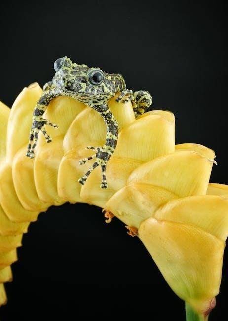 Marcy's Journal: Dive into the World of Amphibia!